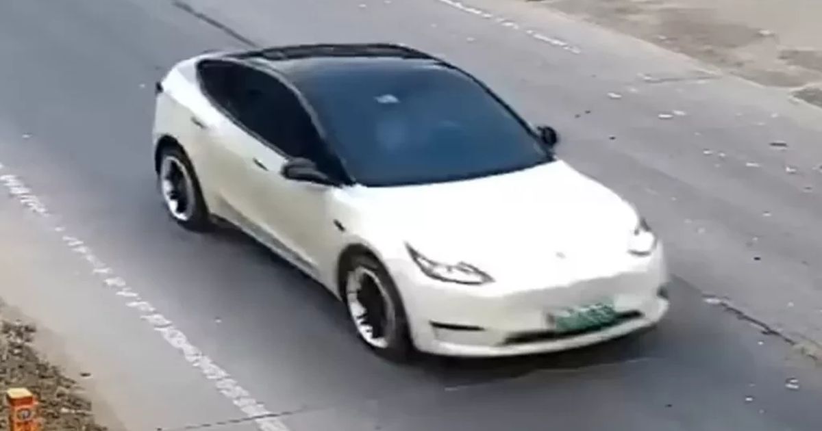Bị Tesla kiện vì tung tin sai sự thật, "hot Tiktoker" phải bồi thường ...